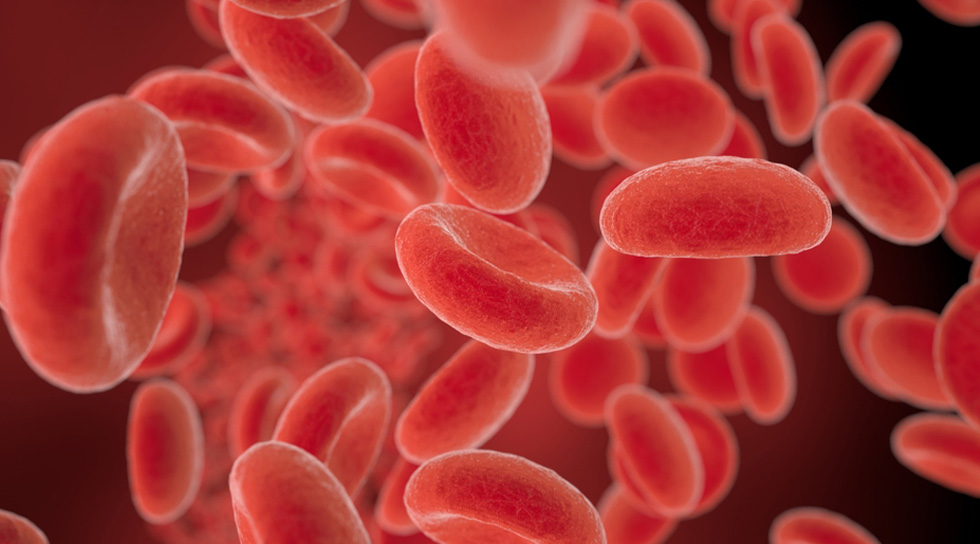 Anticoagulation Monitoring Services - Sullivan County Community Hospital